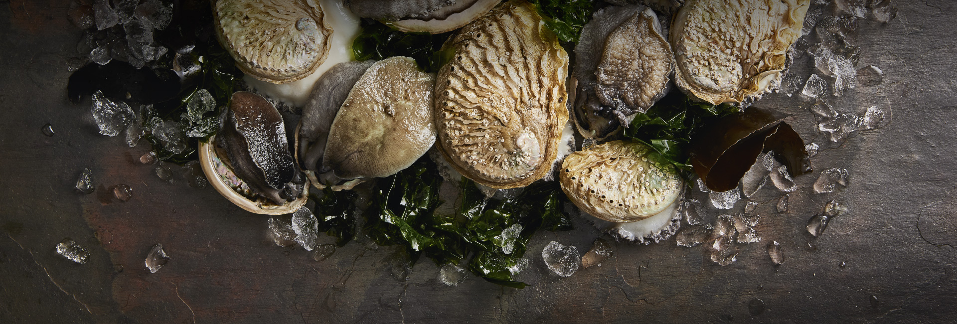 Home - Cape Abalone