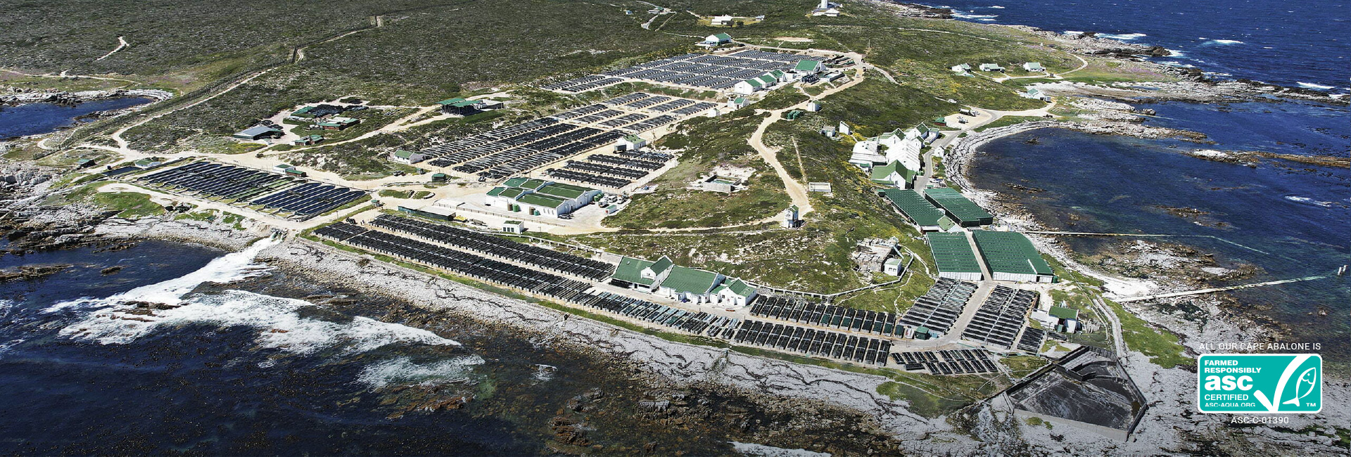 Home - Cape Abalone